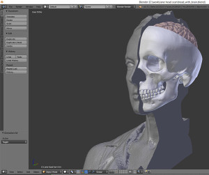 Combining 3D scans and MRI data – Neuro Memento Mori